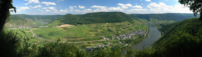 Aktivitäten – Senheim