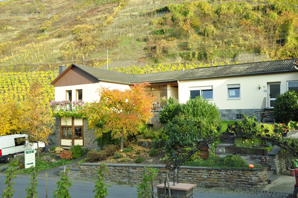 Wein & Winzer – Senheim