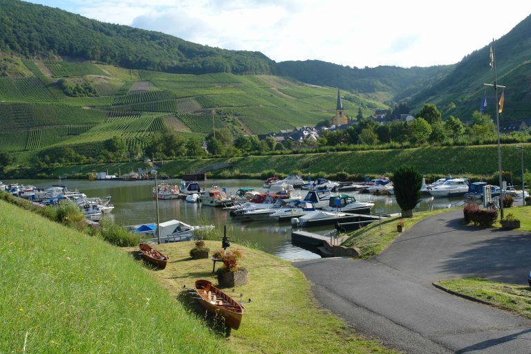 Aktivitäten – Senheim