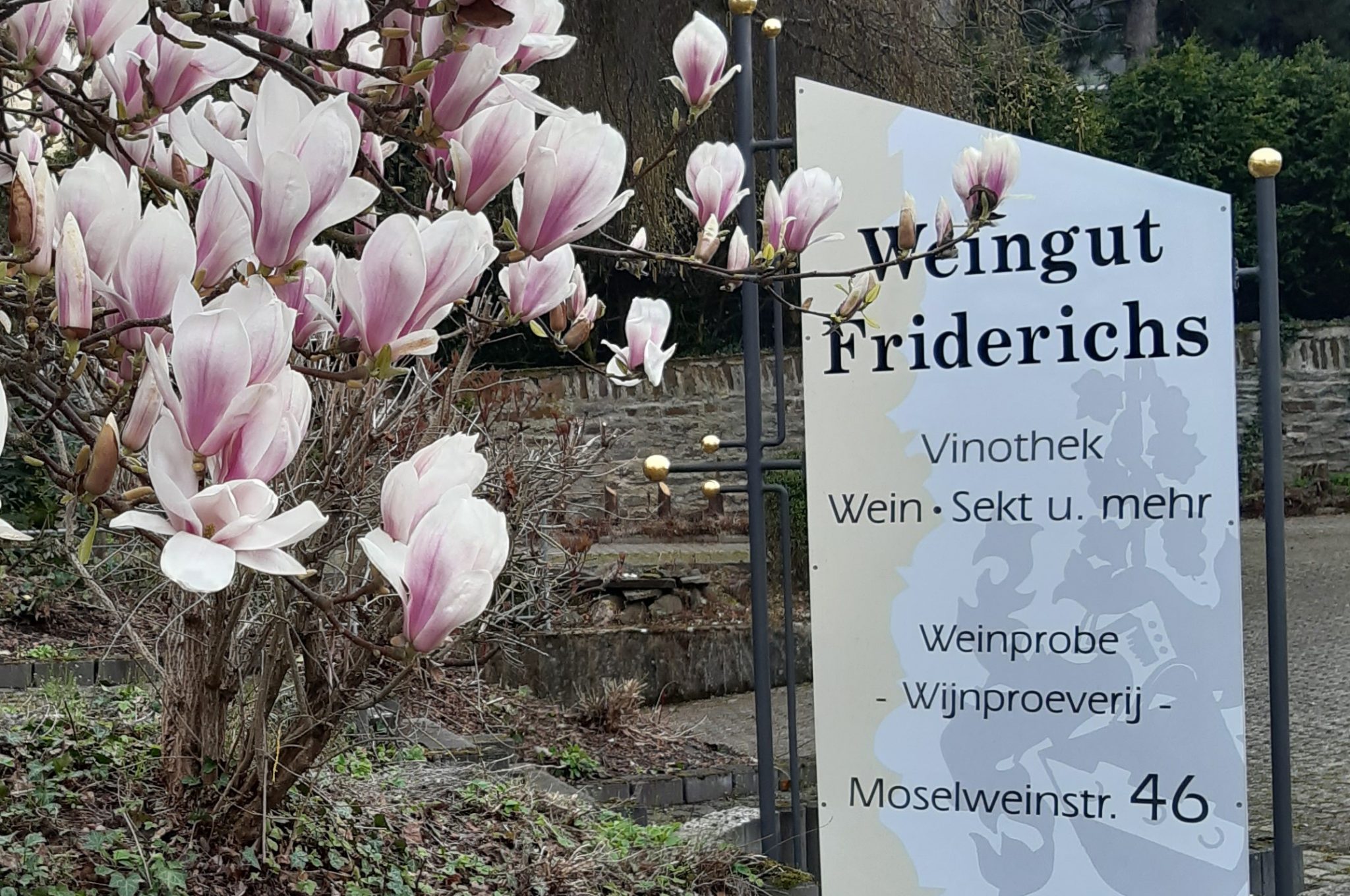 Wein & Winzer – Senheim